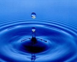 Image 1241809541-clip-8kb.jpg